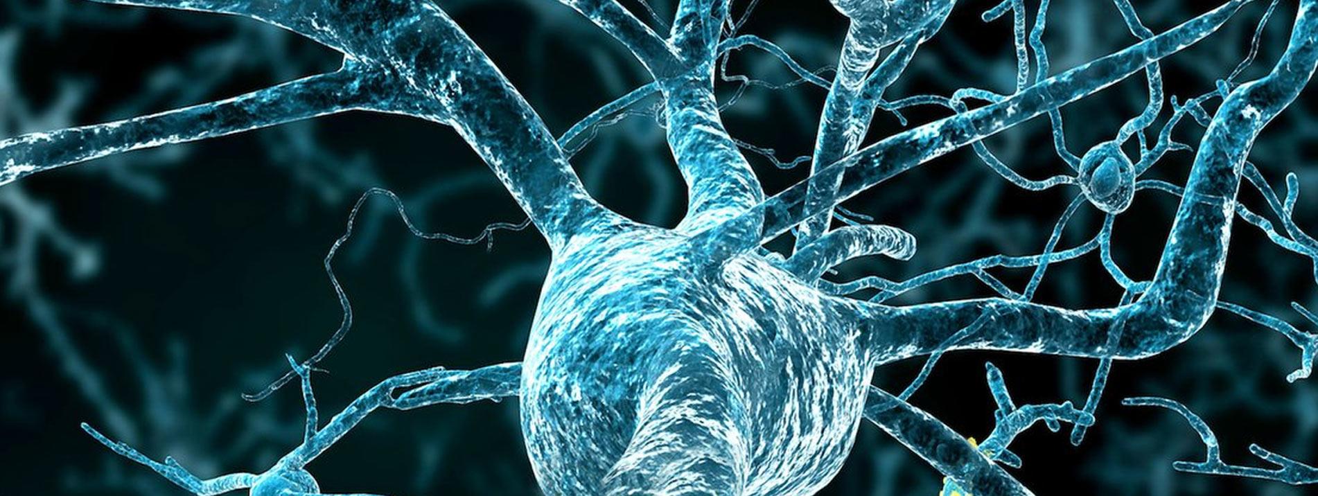 The Importance of Peptide Purity - PrimeX Cellular Nutrition